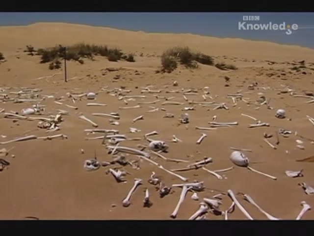 BBC-RACISM A HISTORY(인종차별의 진실)-3부작 완결