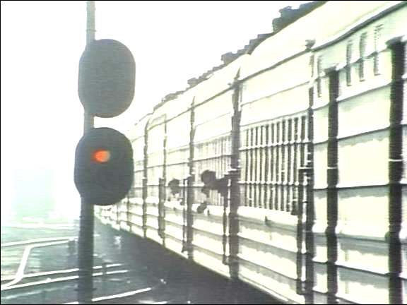 NHK CCTV '실크로드' - 중국의 비단길...서역과의 무역길.....