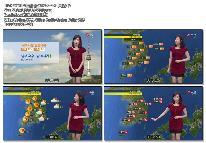 종편 130820 캐스터,아나운서