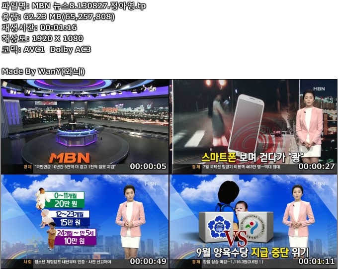 종편 130827 캐스터,아나운서