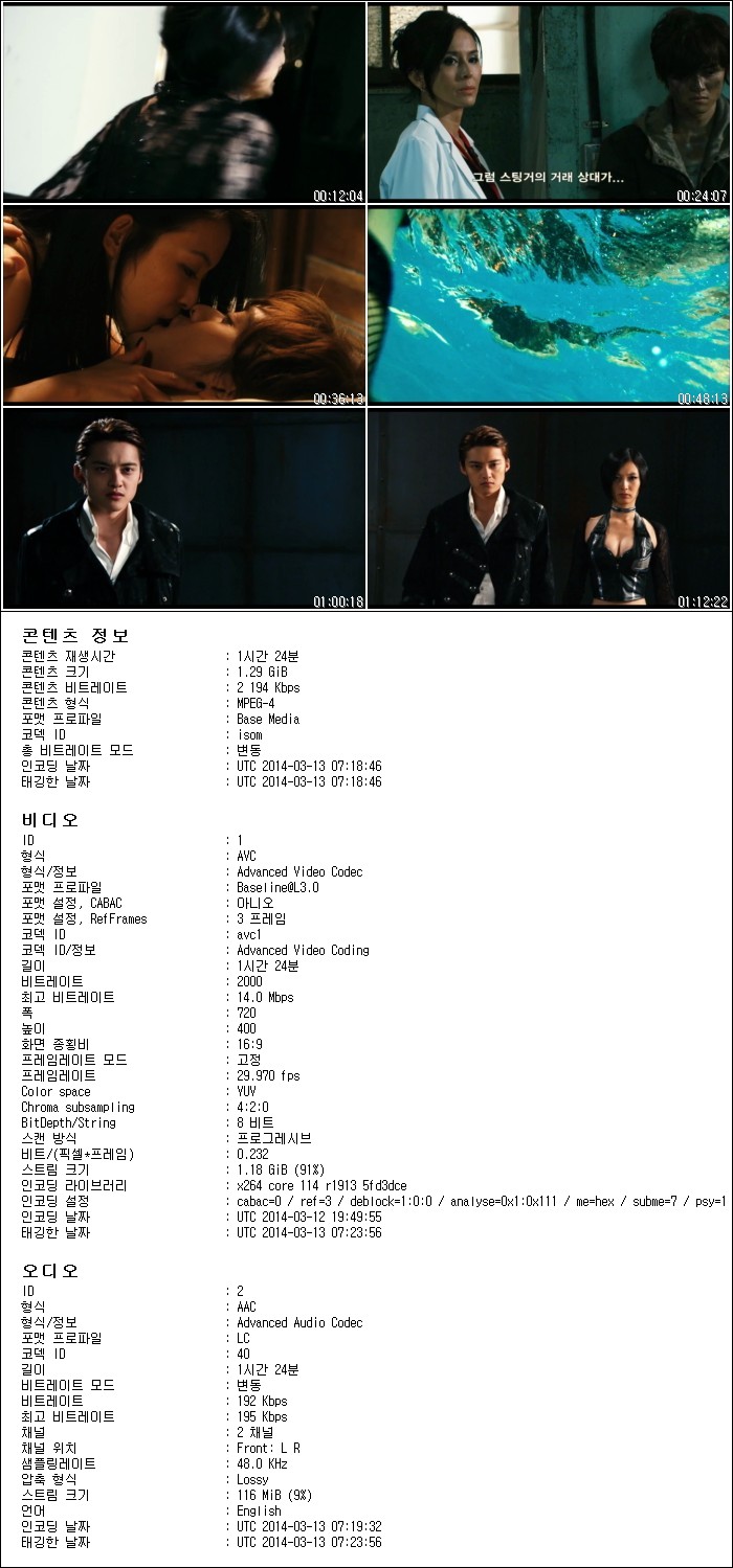 사이보그 프린세스 (009-1: The End of the Beginning, 2013)