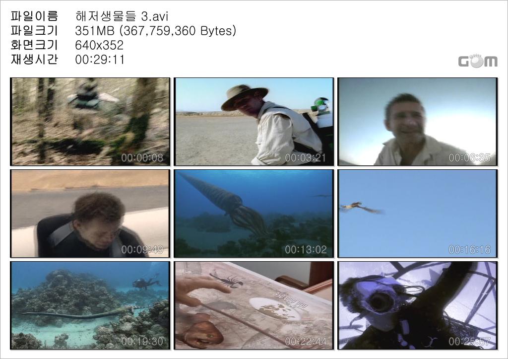 [심해 다큐] 수심 2km 아래 심해생물들