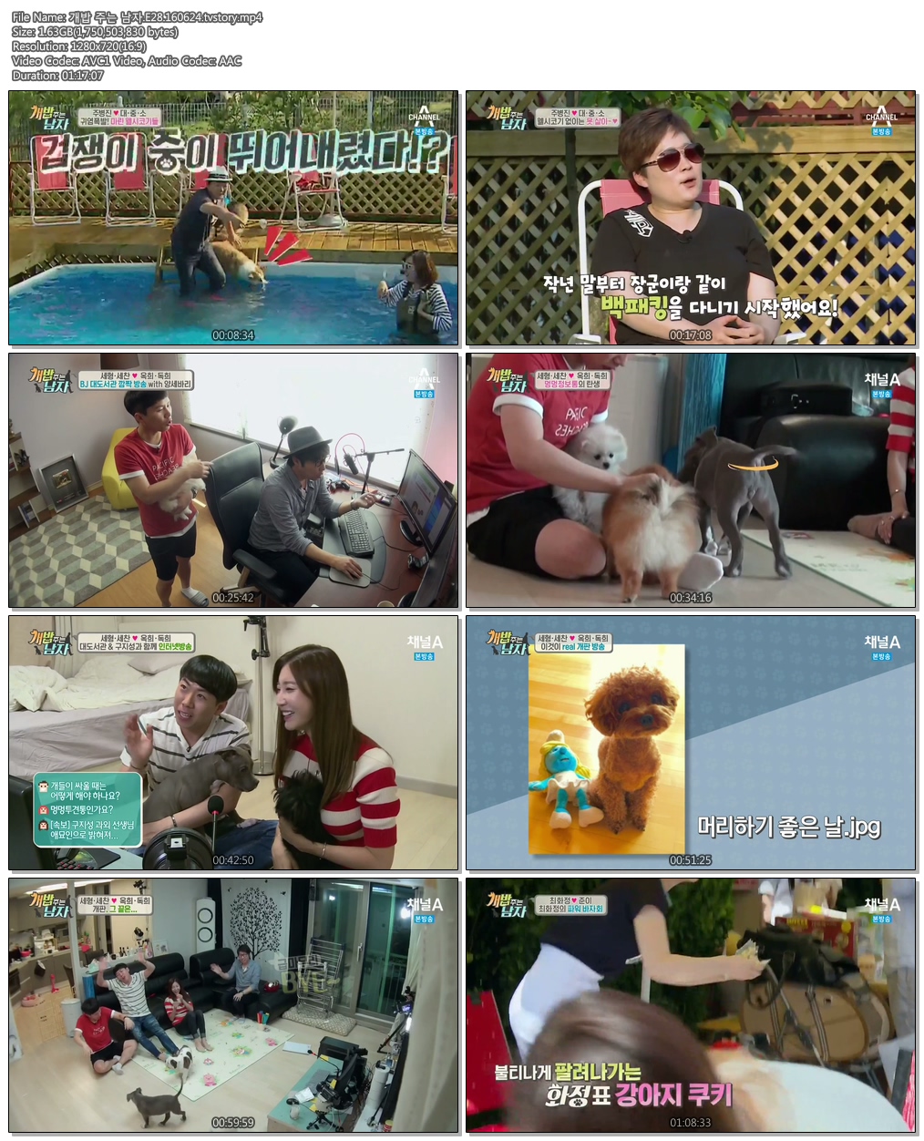 개밥 주는 남자.E28.160624.tvstory