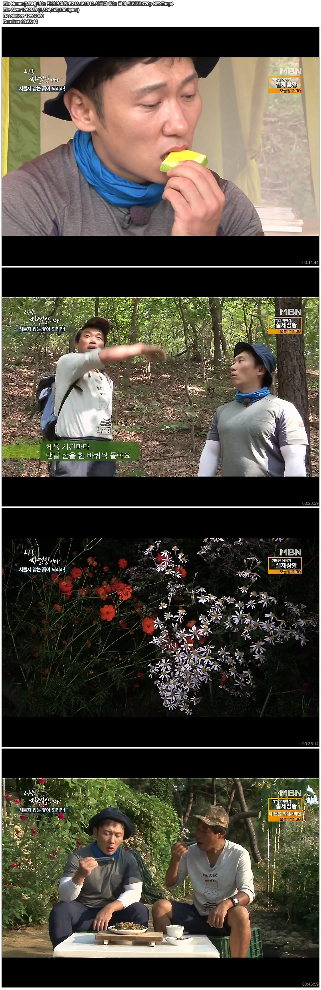 [MBN] 나는 자연인이다.E213.161012.시들지 않는 꽃이 되리라.720p-NEXT