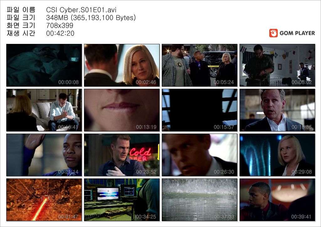 [미드] CSI 사이버 Cyber 시즌1 [01-13완]
