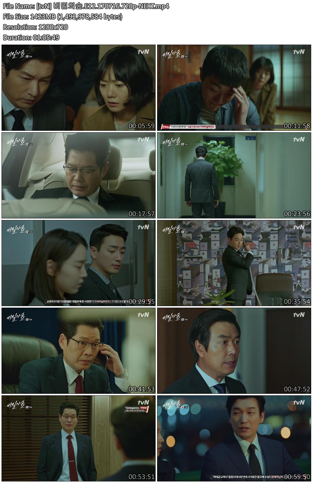 [tvN] 비밀의숲.E12.170716.720p-NEXT