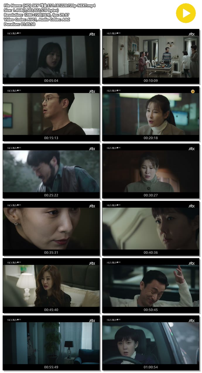 [HD완결] SKY(스카이) 캐슬 11-20[완] JTBC 720p 염정아 정준호 이태란 최원영
