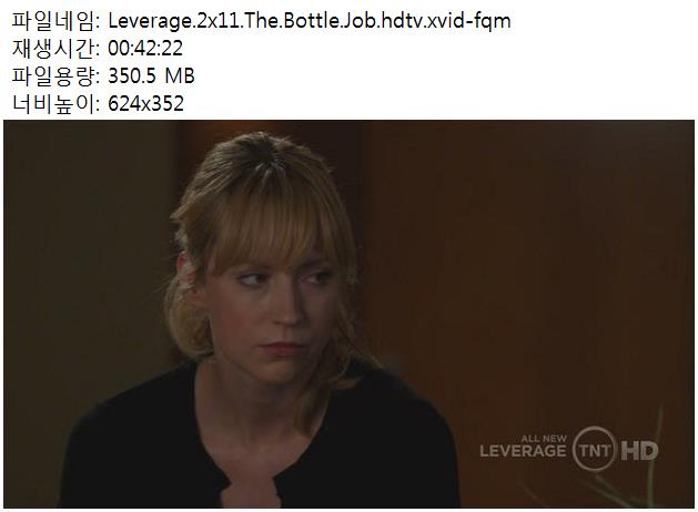 Leverage.2x11.The.Bottle.Job.hdtv.xvid-fqm