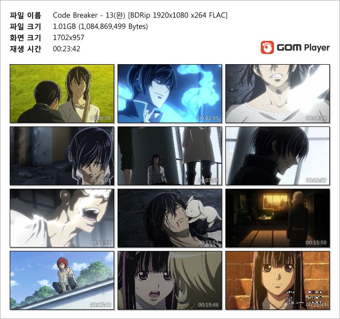 [쪽지] 코드 브레이커 01-13완결 [OAD 포함] -모험 능력 액션 환타지-