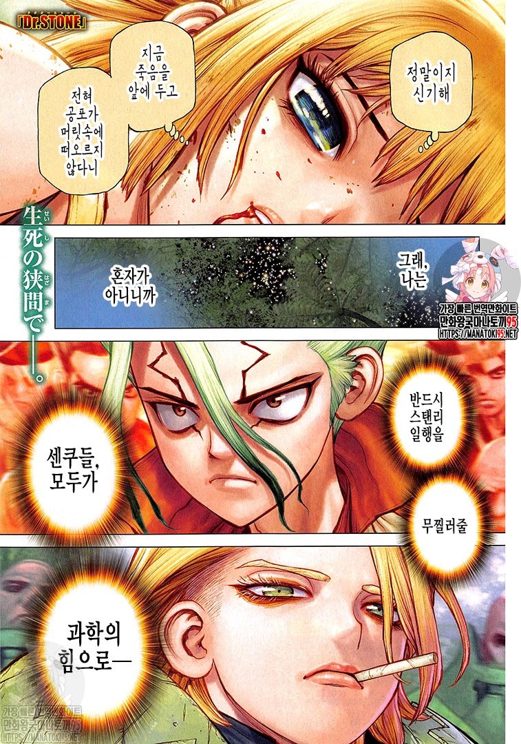 [액션]닥터 스톤(Dr. Stone) 189화