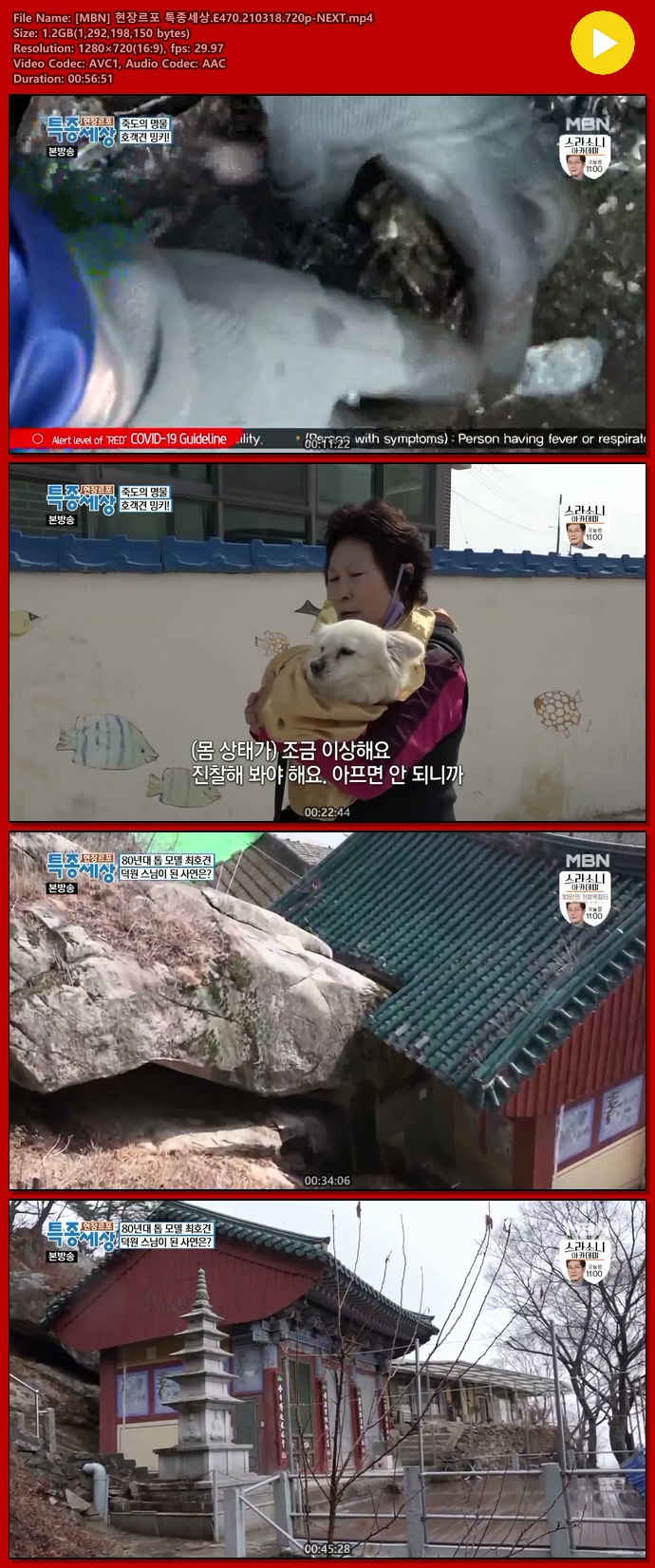 [MBN] 현장르포 특종세상.E470.210318.720p-NEXT