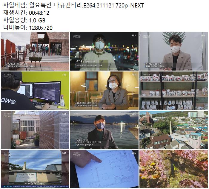 일요특선 다큐멘터리.E264.211121.720p-NEXT