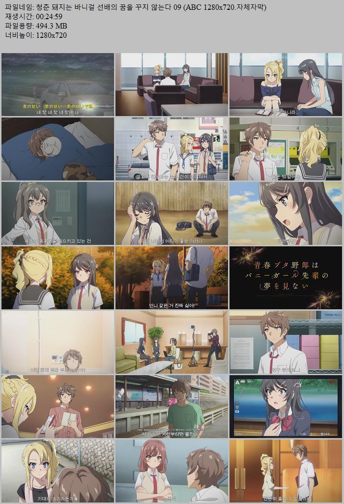 청춘 돼지는 바니걸 선배의 꿈을 꾸지 않는다 09 Abc 1280x720 자체자막