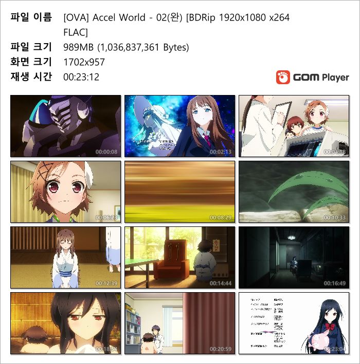 [쪽지] 액셀 월드 [OVA . 극장판] -모험 SF 스릴러 액션-