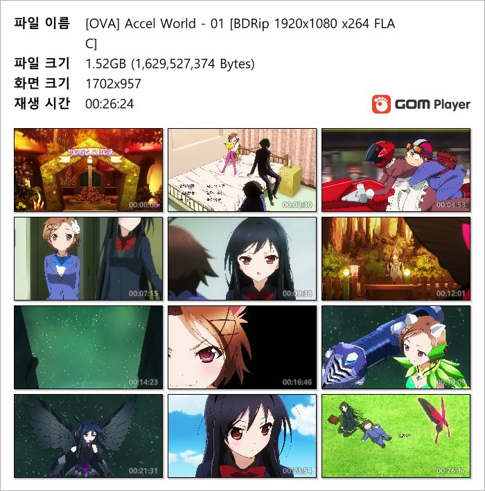 [쪽지] 액셀 월드 [OVA . 극장판] -모험 SF 스릴러 액션-